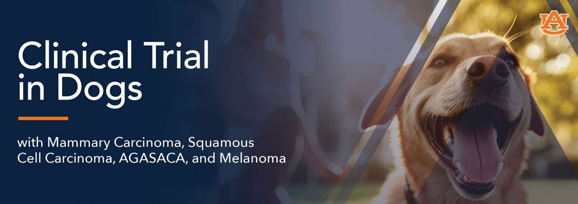 Studypages - Pilot study evaluating palbociclib in dogs with melanoma ...
