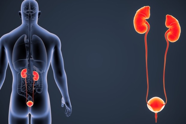 Studypages - A Study of the Experimental Drug Rogaratinib (BAY1163877 ...