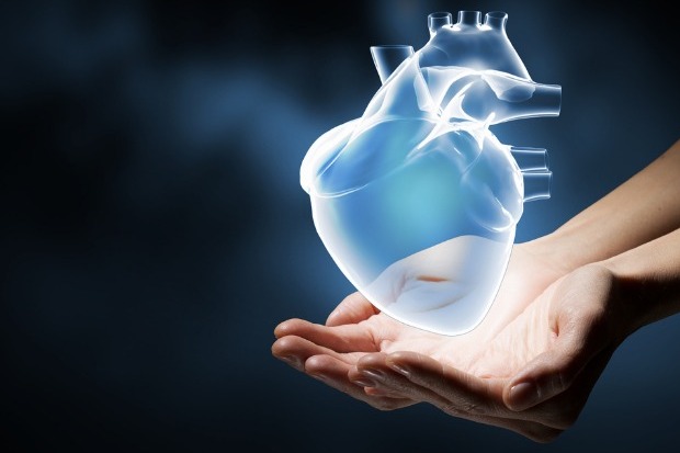 Studypages - A Study of the Experimental CorMatrix Cor TRICUSPID ECM ...