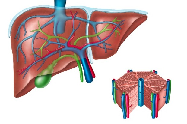 Studypages - A Study of Experimental CR845 (Difelikefalin) for Primary ...