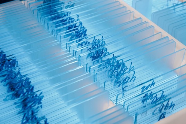 Studypages - Collection of Tissue Samples for Cancer Research